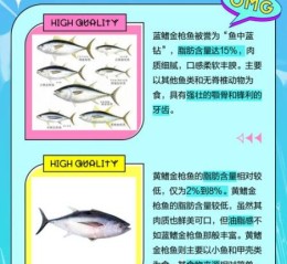 金枪鱼种类有哪些_蓝鳍金枪鱼和黄鳍金枪鱼区别