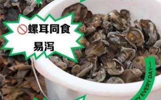 木耳不能和什么一起吃_哪些食物相克