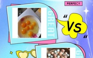 草鸡蛋和普通鸡蛋营养价值一样吗_草鸡蛋真的更健康吗