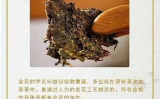 花卷茶有金花吗_金花与花卷茶区别