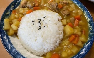 咖喱鸡饭小说讲了什么_咖喱鸡饭作者是谁