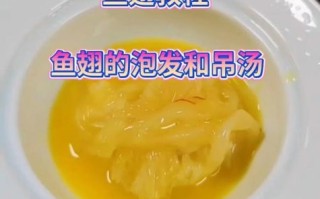 鱼翅怎么煮才好吃_鱼翅泡发技巧