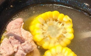 排骨玉米汤怎么炖好喝_排骨玉米汤的做法窍门