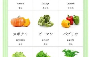 vegetable怎么读_vegetable发音规则