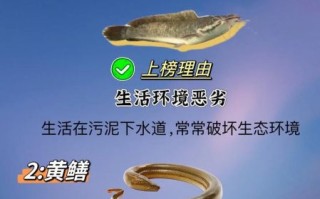 中国十大最脏鱼有哪些_如何挑选干净淡水鱼