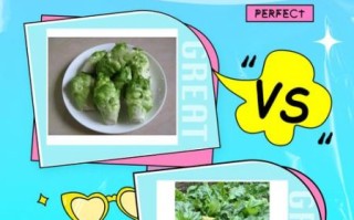 四川菜头又叫什么_菜头与儿菜是同一种吗