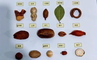 香料大全图解_香料名称及用途