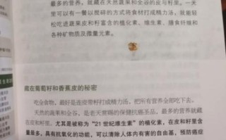 陈月卿精力汤食谱_精力汤怎么做
