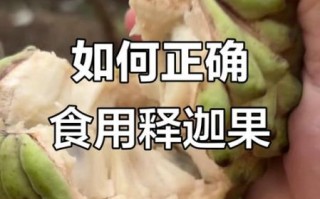 释迦怎么吃_释迦怎么剥皮