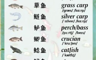 what_is_squirrel_mandarin_fish_how_to_cook_sweet_sour_squirrel_fish