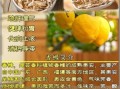 香果的功效与作用_香果怎么吃最好