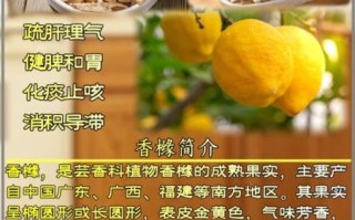 香果的功效与作用_香果怎么吃最好