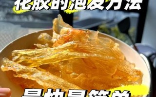 干鱼鳔怎么泡发_干鱼鳔怎么吃最好