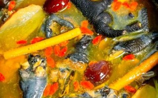 乌骨鸡汤怎么做_乌骨鸡汤的功效与禁忌