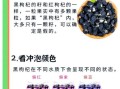 黑枸杞的功效与作用_黑枸杞的营养价值