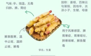姜的功效与作用_生姜怎么吃最养生