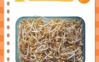 在家怎么种绿豆芽_绿豆芽种植步骤