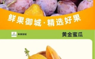 西梅图片多少钱一斤_西梅价格2024最新行情