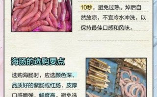 海肠怎么处理_海肠怎么清洗才干净