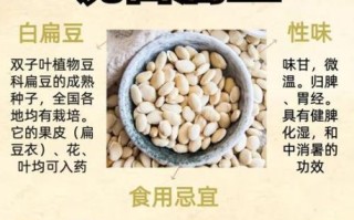 白扁豆的功效与作用及禁忌症_白扁豆怎么吃最养脾胃