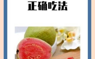 芭乐怎么吃_番石榴的正确吃法