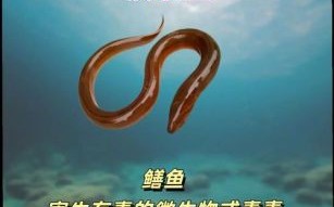 致癌最多的三种鱼有哪些_如何避开