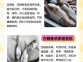 白鲢鱼怎么做好吃_白鲢鱼多少钱一斤