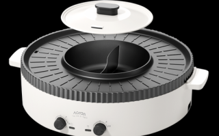 家用电烧烤炉哪个牌子好_电烧烤炉十大排名