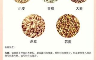 青稞和燕麦的区别_哪个更适合减肥