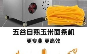 玉米面条机哪个牌子好_家用玉米面条机选购指南