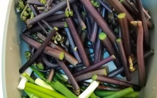 山野菜怎么做好吃_山野菜有哪些家常做法