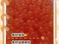 大马哈鱼籽不能和什么一起吃_孕妇能吃吗