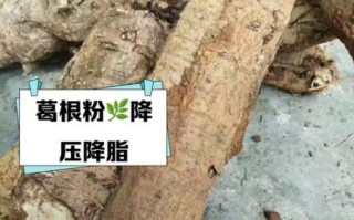 葛根粉丰胸是真的吗_葛根粉吃多久能见效