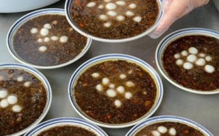 醪糟汤圆算酒驾吗_吃多少会超标