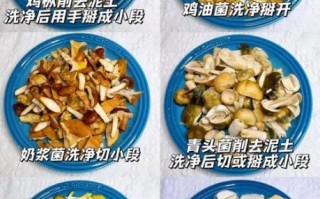 野生菌火锅怎么做_野生菌火锅需要焯水吗