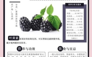 黑莓的功效与作用禁忌_什么人不能吃黑莓