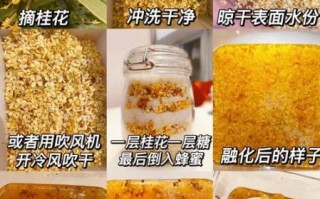 桂花蜜的功效与作用_桂花蜜怎么喝最养人