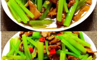 炒肉菜怎么炒才嫩_家常炒肉菜食谱大全