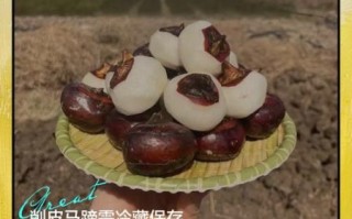 马蹄怎么去皮最快_马蹄最简单的做法