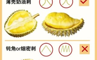 榴莲怎么挑_榴莲怎么保存