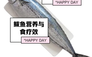 鲅鱼多少钱一斤2020_2020年鲅鱼价格走势