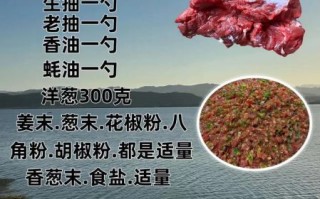 牛肉饺子馅怎么调才好吃_牛肉饺子馅放什么调料最香
