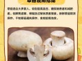 草菇不能和什么一起吃_草菇中毒症状有哪些