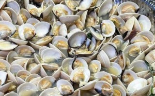 卜卜贝是海鲜吗_卜卜贝属于什么类