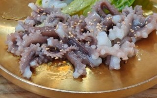 章鱼直播体育怎么看_章鱼直播体育免费吗