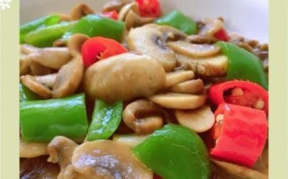 油蘑菇的做法大全_油蘑菇怎么做好吃