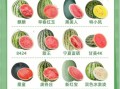 西瓜怎么挑熟的_西瓜怎么看熟不熟