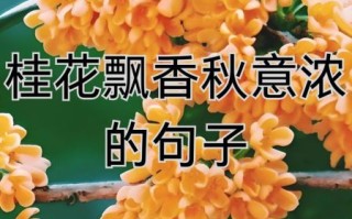 金桂飘香是什么意思_金桂飘香怎么造句