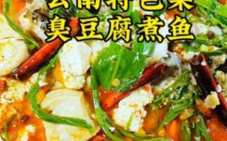 臭豆腐煮鱼怎么做_臭豆腐煮鱼好吃吗