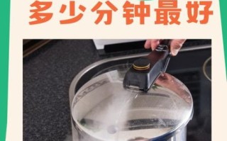 高压锅炖排骨的做法窍门_排骨高压锅压多久才软烂